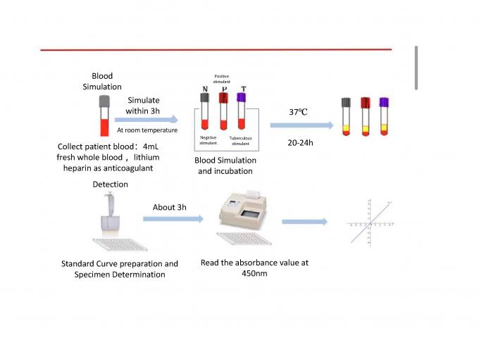 IGRA TB Elisa Test Kit Igra For Tb Diagnosis Tuberculosis Diagnosis ...