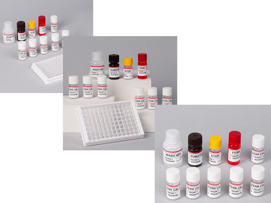 Laboratory Or Hospital High Precision Human ferritin FE ELISA TEST KIT