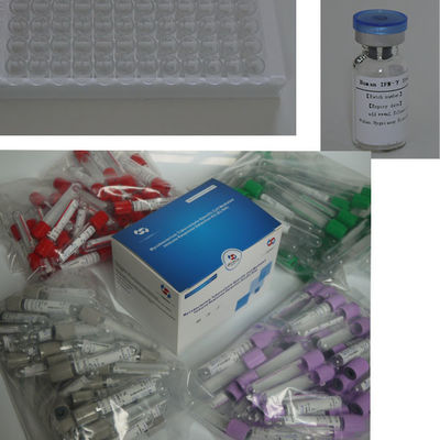 Easy-to- TB-IGRA ELISA Test Kit with Long Shelf Life and 2C-8C ...