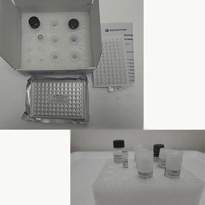 Human TNF-α RUO Elisa Test Kit For Serum With 96 Tests