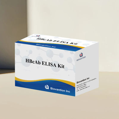 HBcAb ELISA Test Kit Assay Antibody Detection Kit Qualitative