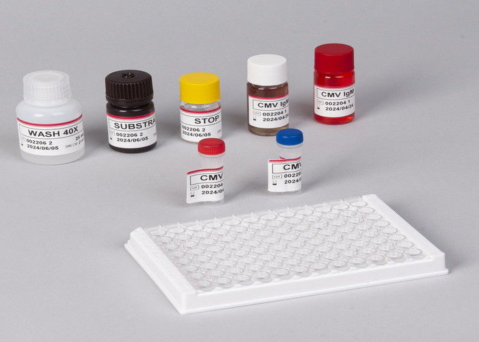 For Laboratory Or Hospital Use Dia Sino Inhibin B ELISA Test Elisa Test Kit