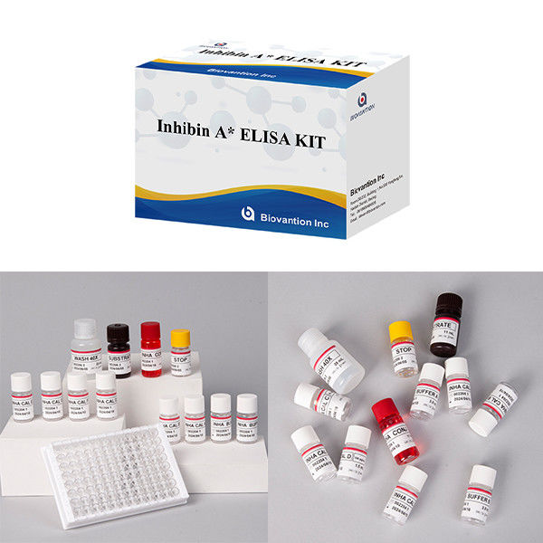 Laboratory Or Hospital High Precision Inhibin A Diagnose Elisa Test Kit