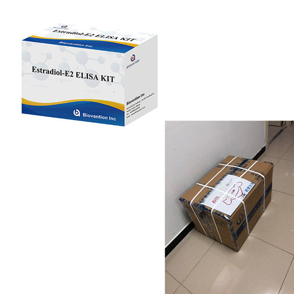 For Laboratory Or Hospital High Accuracy Estradiol Elisa Test Kit