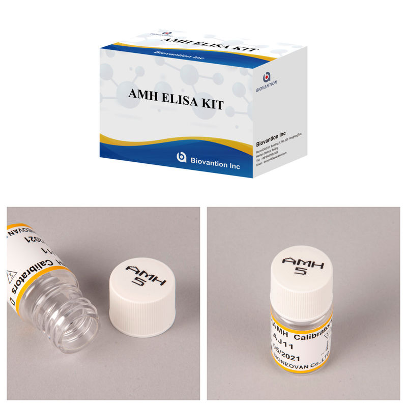 AMH ELISA Test Kit Human Anti-Mullerian Hormone Laboratory Or Hospital