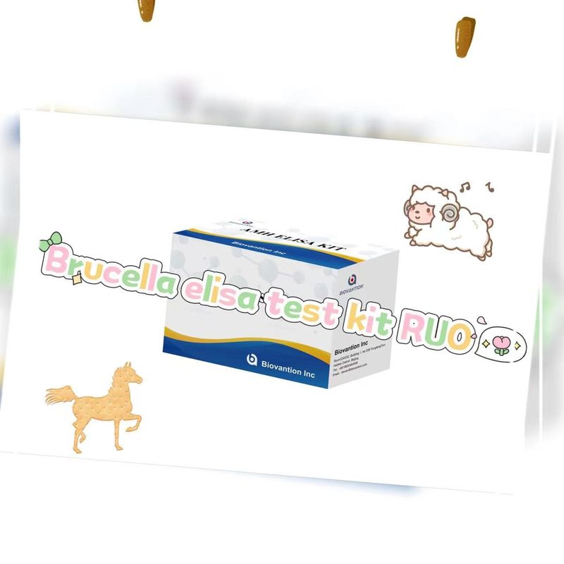Brucella elisa test kit RUO Elisa Test Kit Of Enzyme-Linked Product ...
