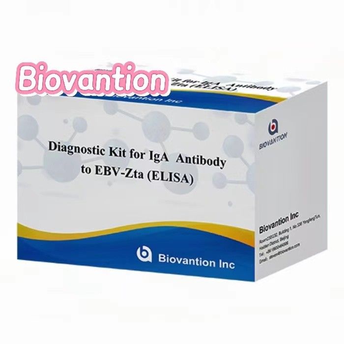 Diagnostic Kit For IgA Antibody To EBV-Zta ELISA TEST KIT Immunosorbent ...