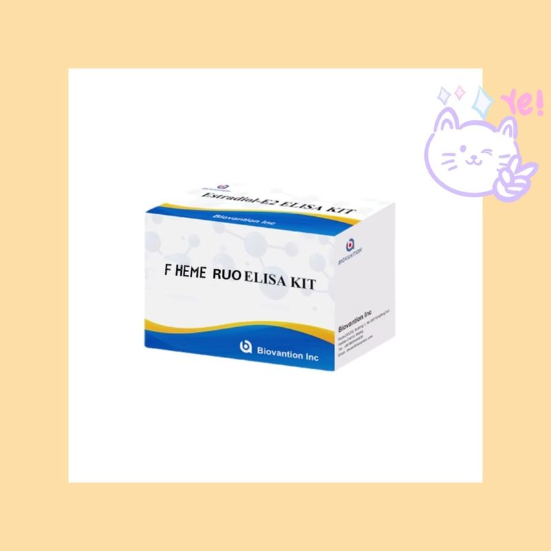 Human Free Heme RUO ELISA Assay Kit RESEARCH USE ONLY For Medical Diagnosis