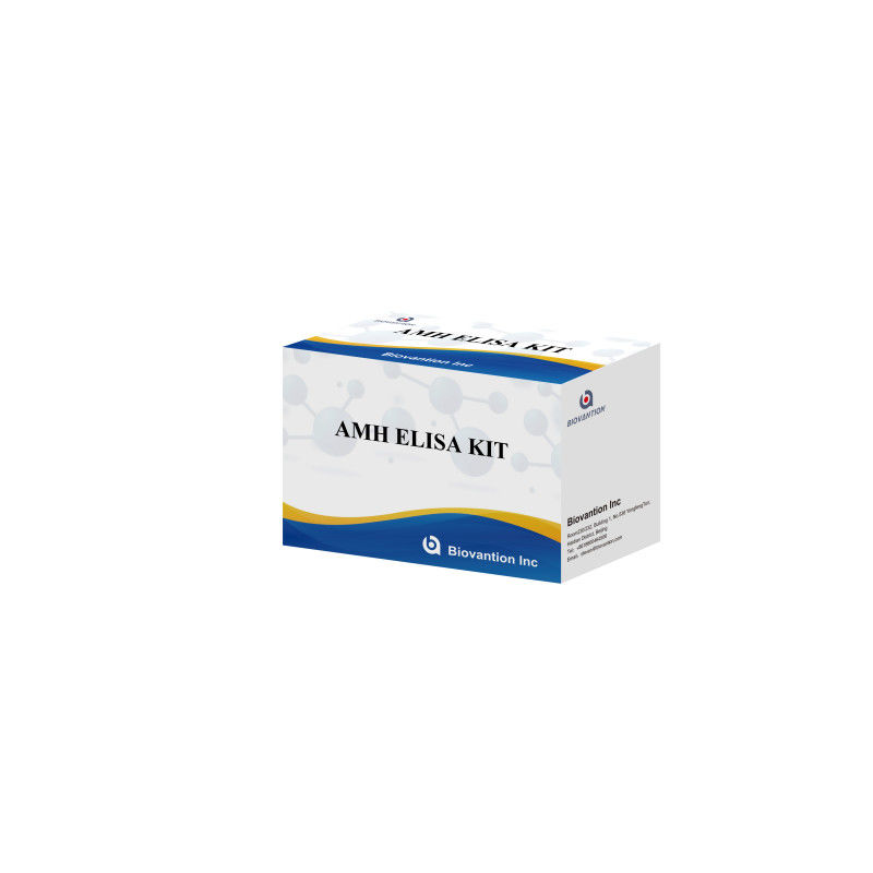 Sensitivity IVD Reagent AMH Elisa Test Kit With 96 Test For Human Use