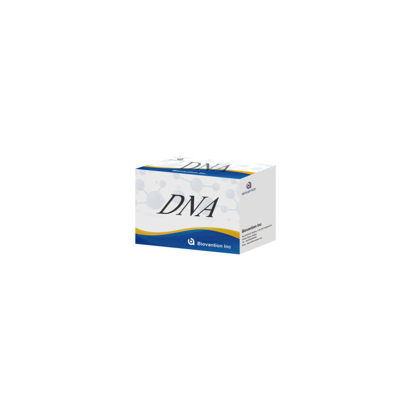 Human DiagnostIc Reagent DNA IVD Test Quickly Test With 96 Test For ...