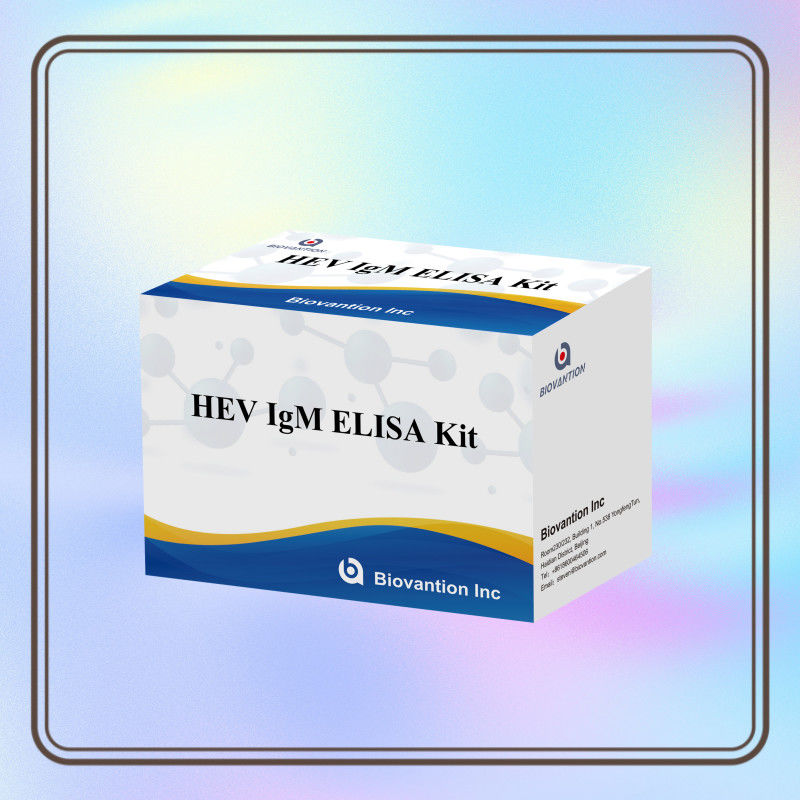 Accurate And Sensitive HEV-IgM Elisa Test Kit For Precise Detection And ...