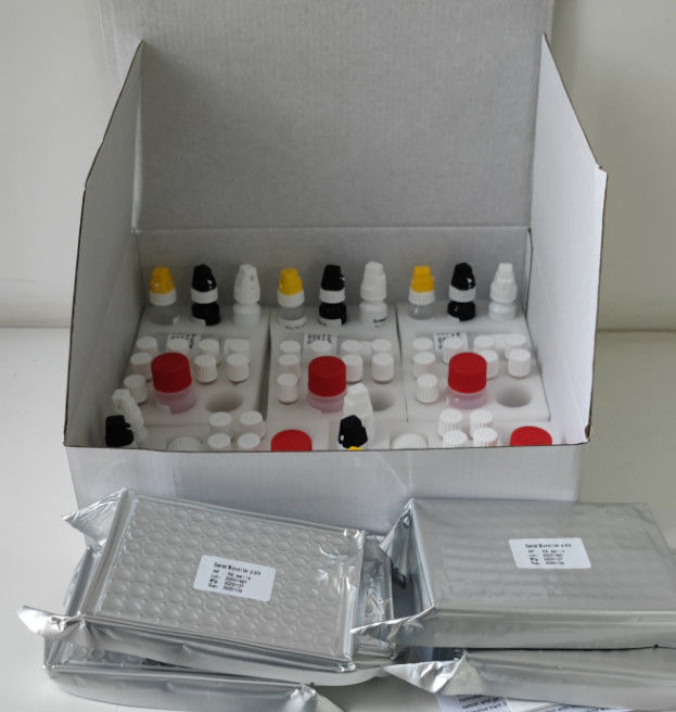 Laboratory Or Hospital High Accuracy H.Pylori IgG Elisa Test Kit