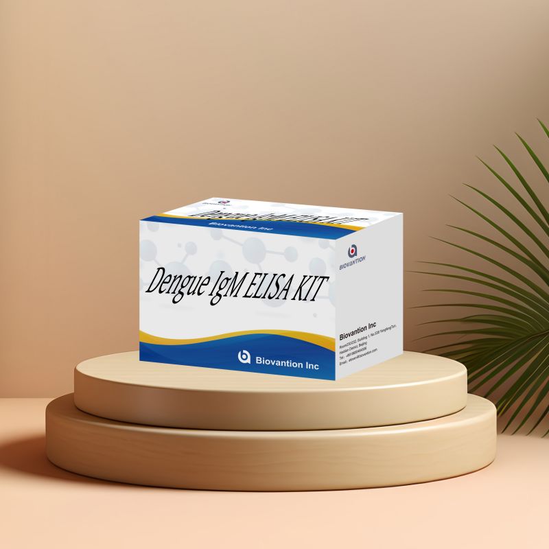 Dengue Virus IgM ELISA Kit For Early Antibody Detection In Human With ...