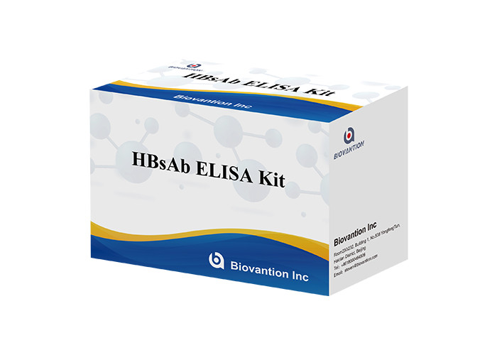 Human HBsAb ELISA Test Kit Enzyme Immunoassay Test 60 Minutes