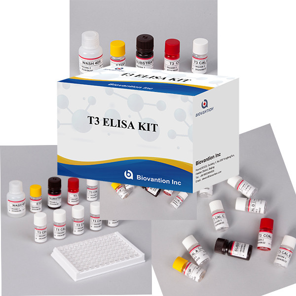 Laboratory Hospital Clinic Widely Used T3 Triiodothyronine ELISA TEST KIT