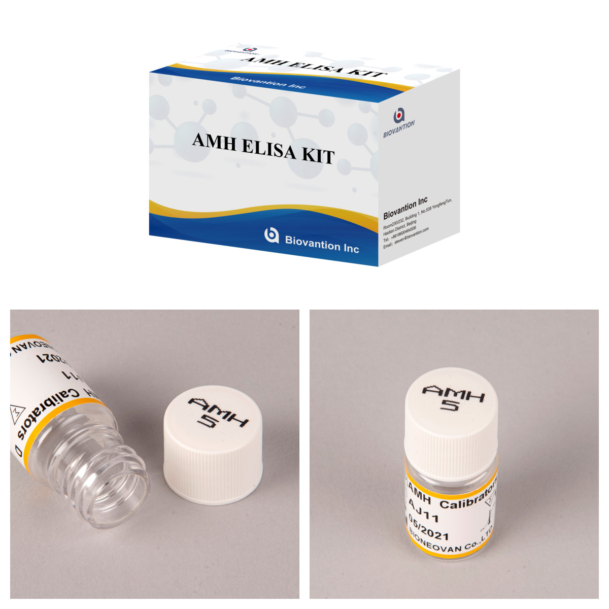 AMH ELISA Test Kit Human Anti-Mullerian Hormone Laboratory Or Hospital