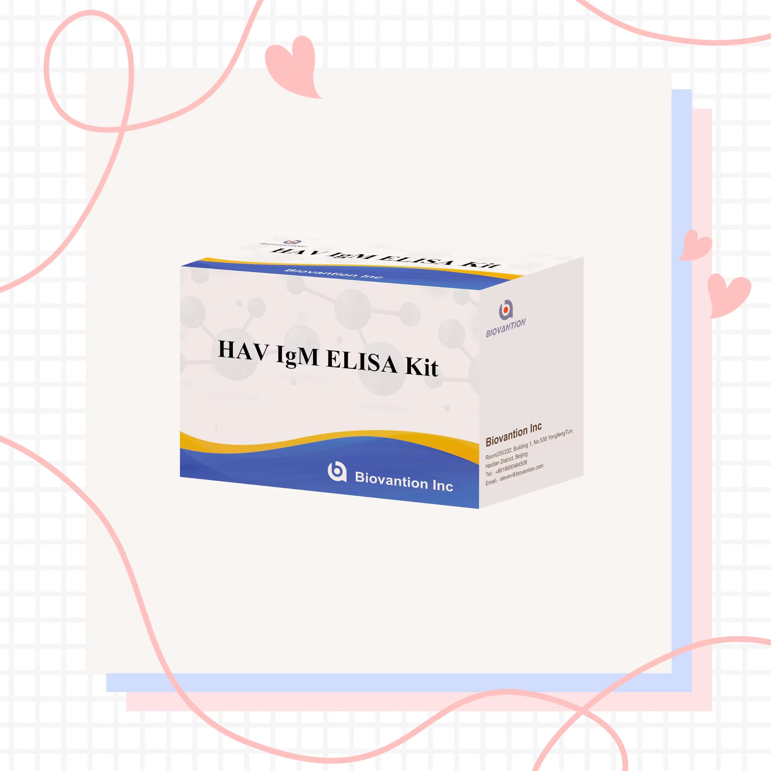 HAV IgM Elisa Test Hepatitis A Diagnositc Kit In Vitro Enzyme Immunoassay