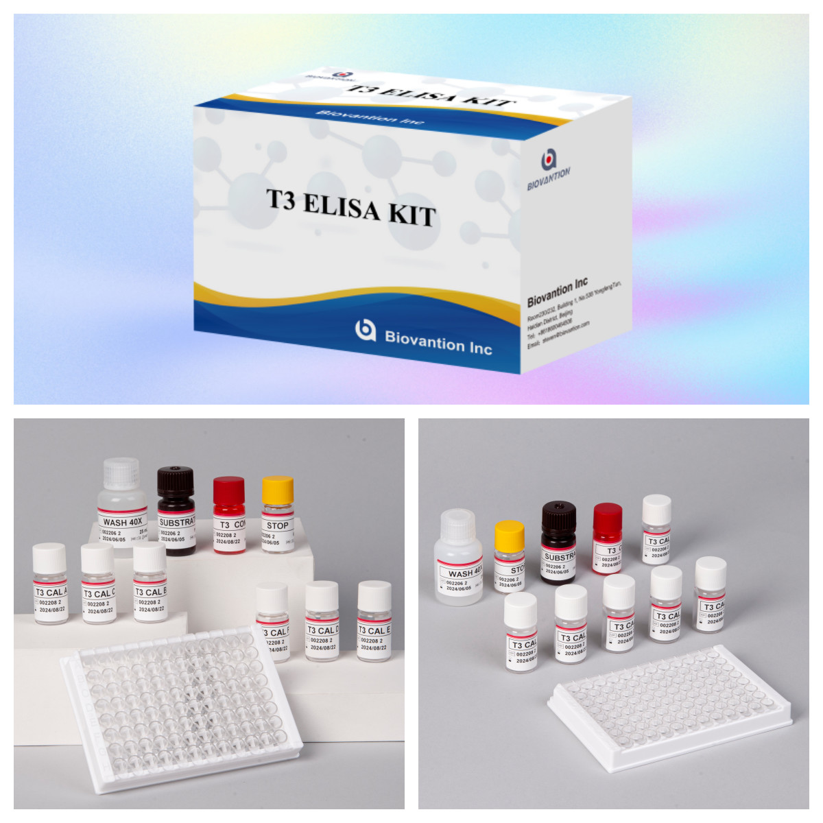 Customizable T3 Elisa Test Kit For Accurate Biomarker Quantification